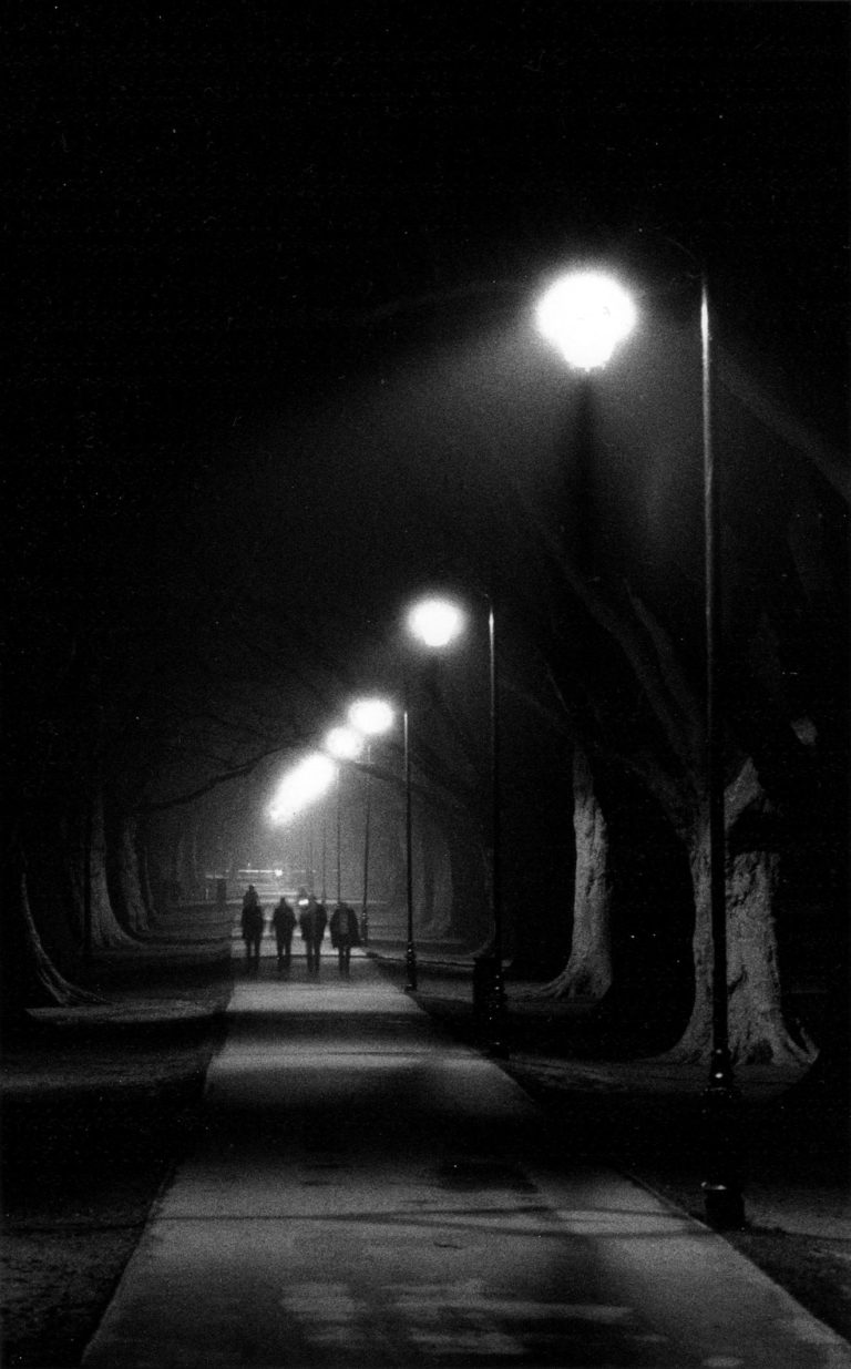 How Analogue Photography Can Make You a Better Cinematographer - Neil ...